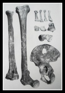 Paviland Cave, Gower Peninsula, West Glamorgan | The Journal Of Antiquities