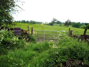 Elslack Roman Fort, North Yorkshire. | The Journal Of Antiquities